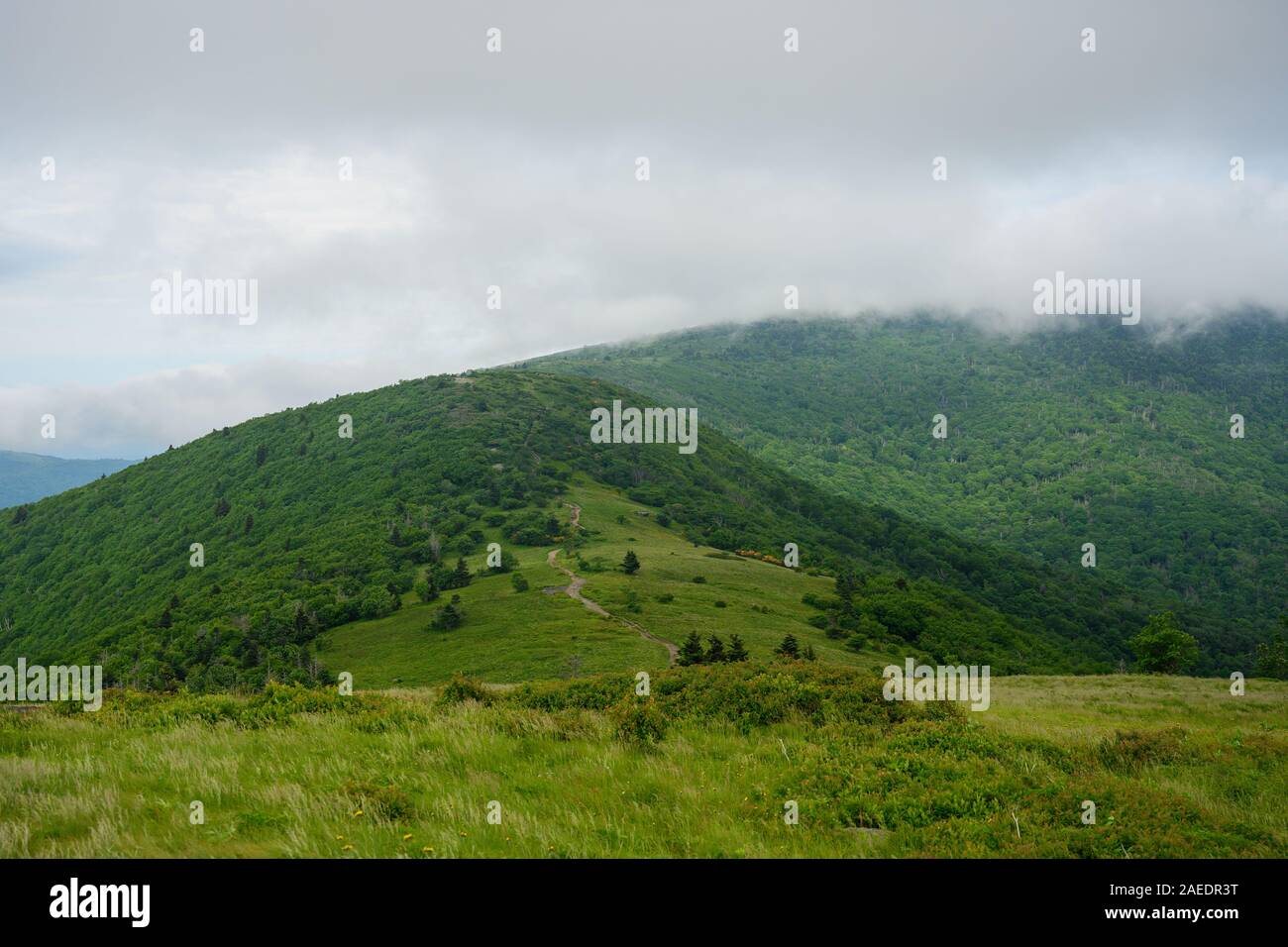 Appalachian Trail Climbs Jane Bald with fog rolling in over the ...