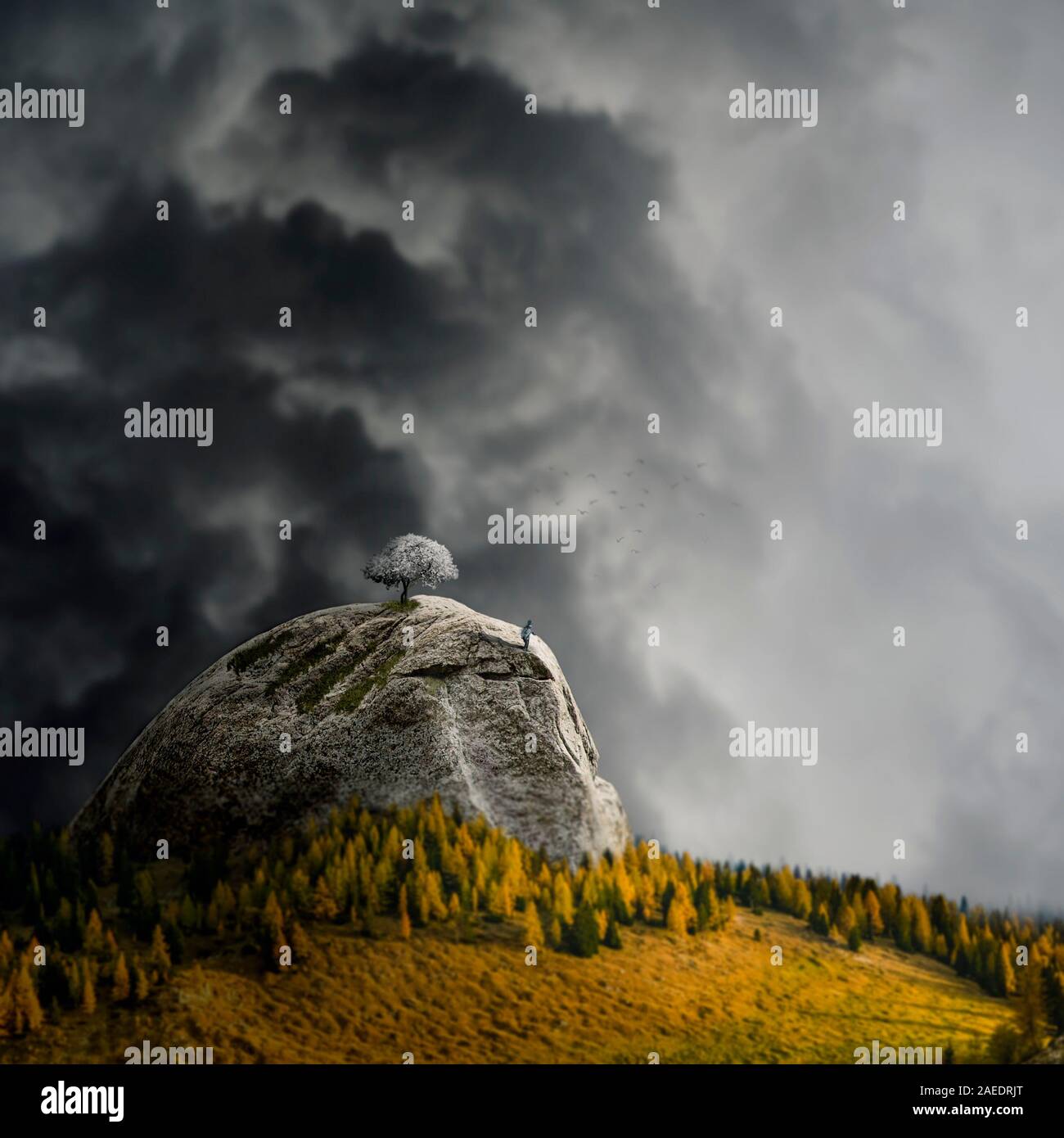 Extreme tilt hi-res stock photography and images - Alamy