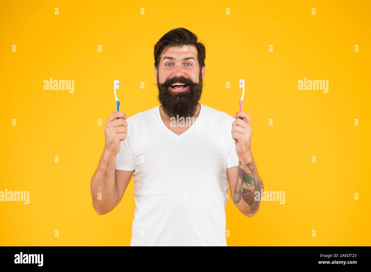 Bearded man holds toothbrushes yellow background. Guy holds two ...