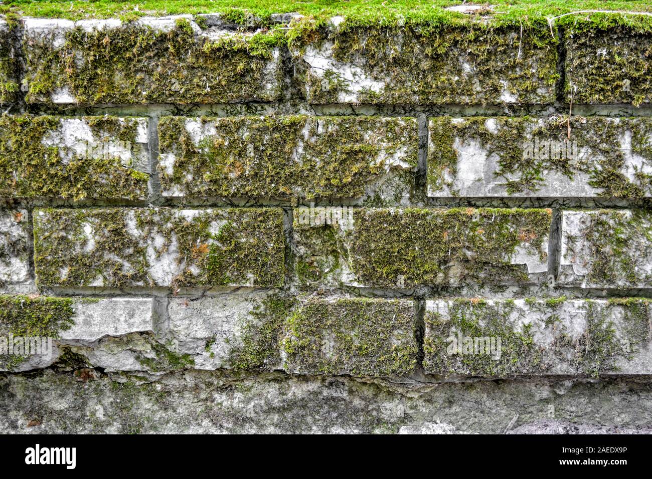 Mossy Stone Brick Texture