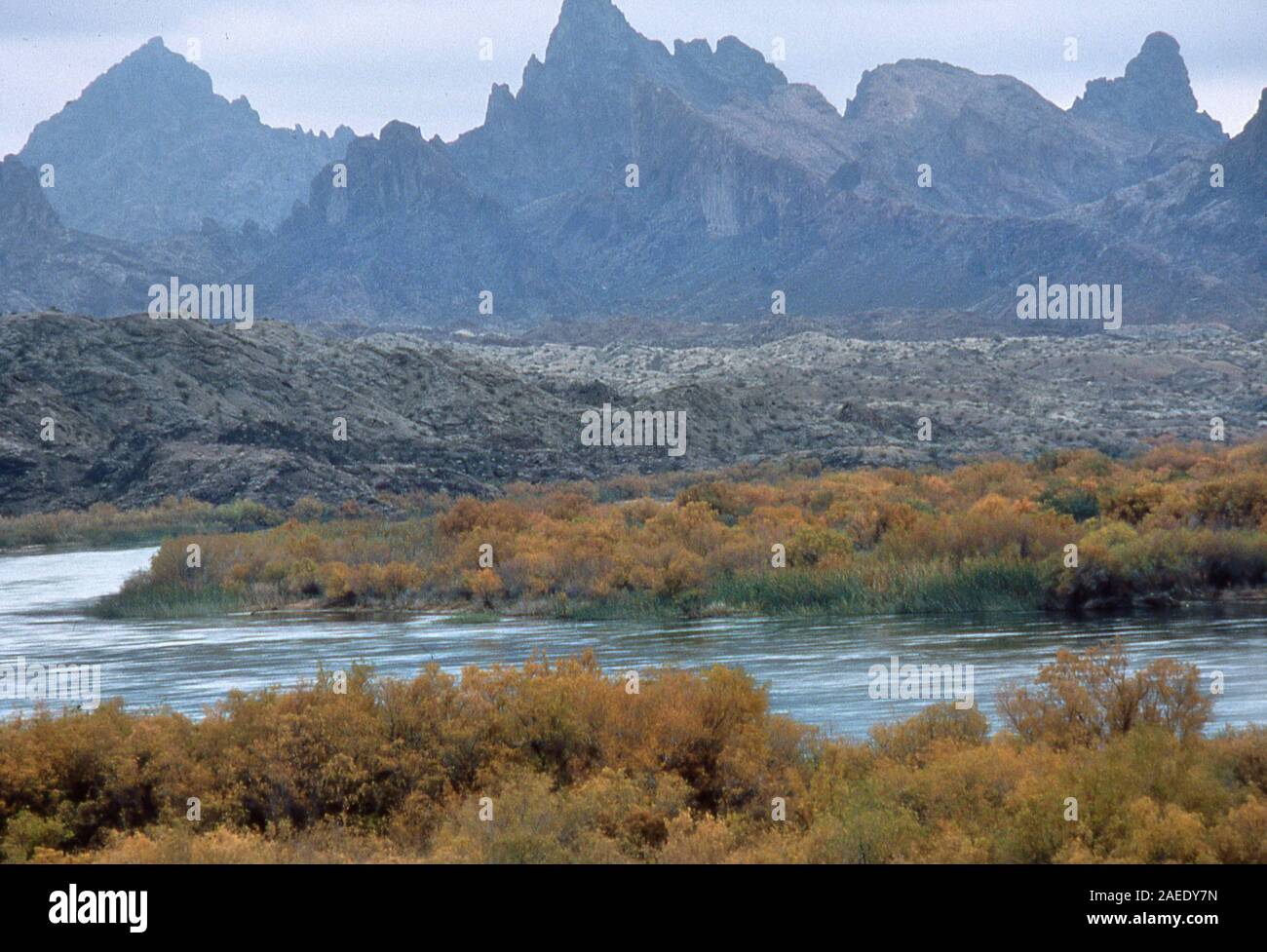 View of the Colorado River near Topock Gorge Stock Photo - Alamy