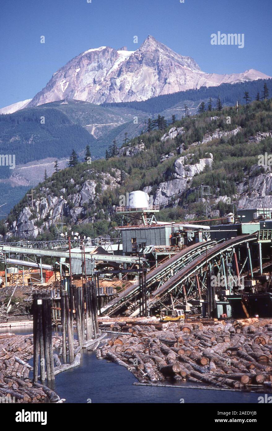 Logging mill hi-res stock photography and images - Alamy