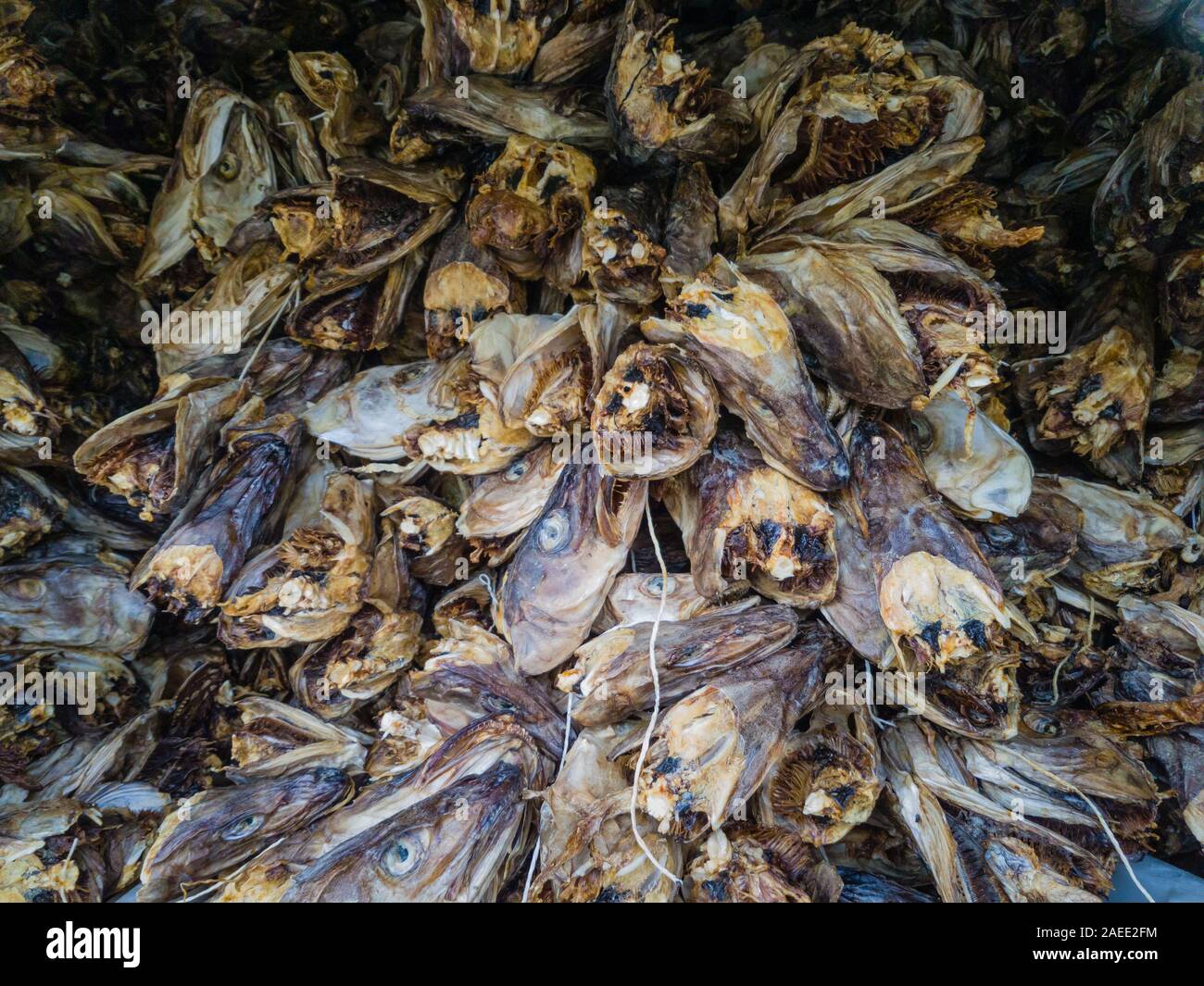 Heads of dried fish are piled Stock Photo - Alamy
