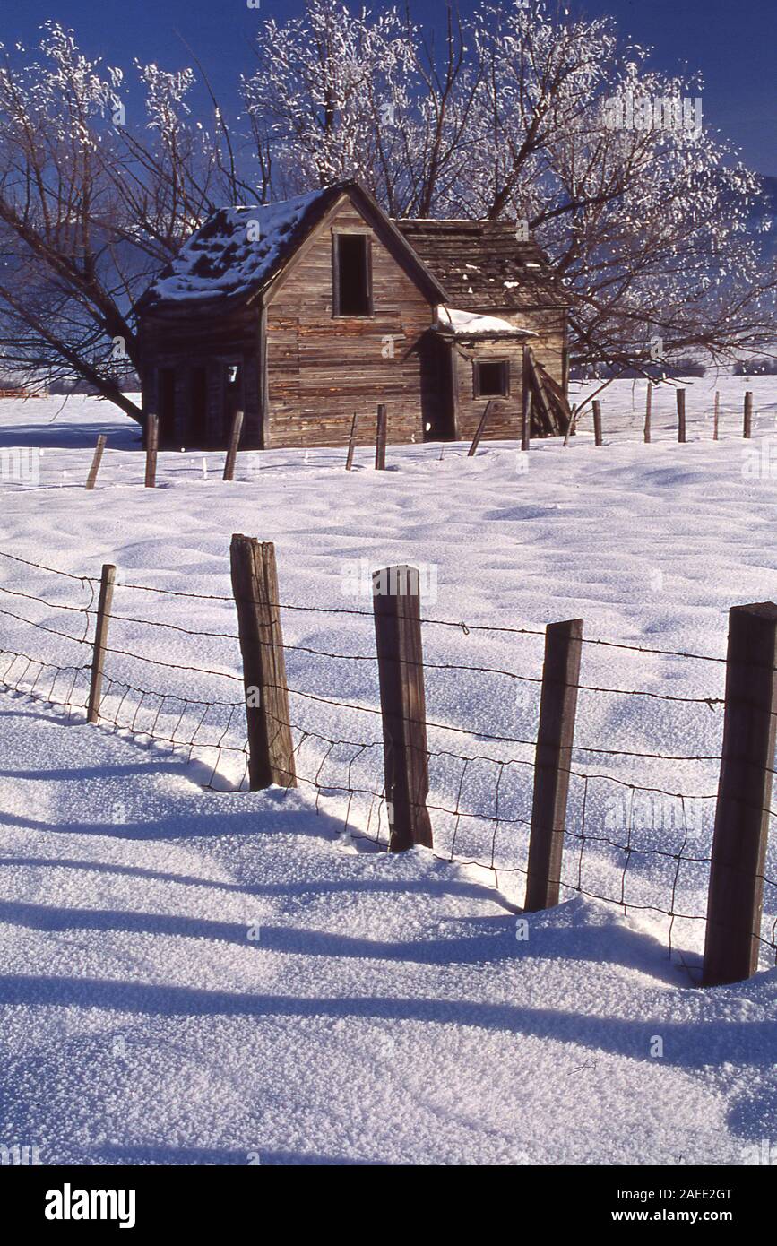 Old Homestead in Idaho Stock Photo - Alamy