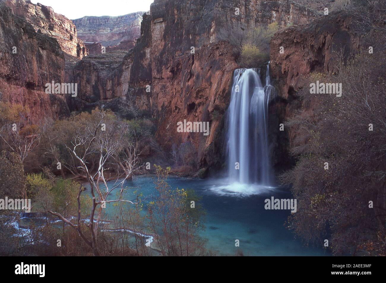 View of Havasu Falls in Arizona Stock Photo - Alamy