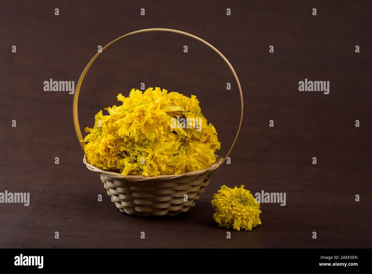 Zendu flower hi-res stock photography and images - Alamy