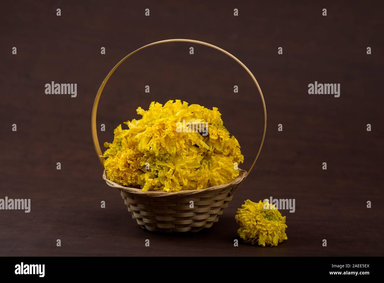 Zendu flower hi-res stock photography and images - Alamy