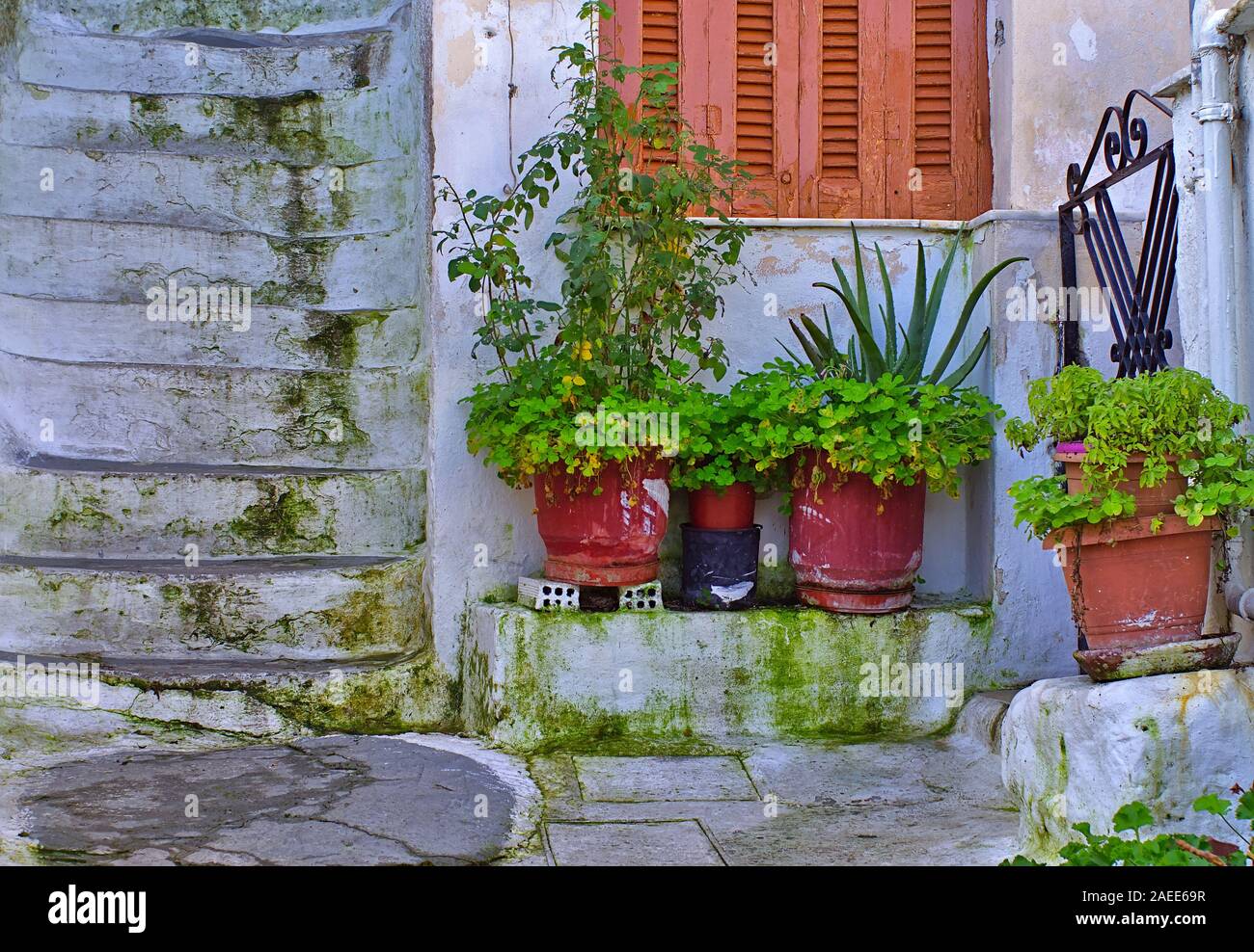 Anafiotika, Plaka, under the Acropolis in Athens, Greece. White steps ...