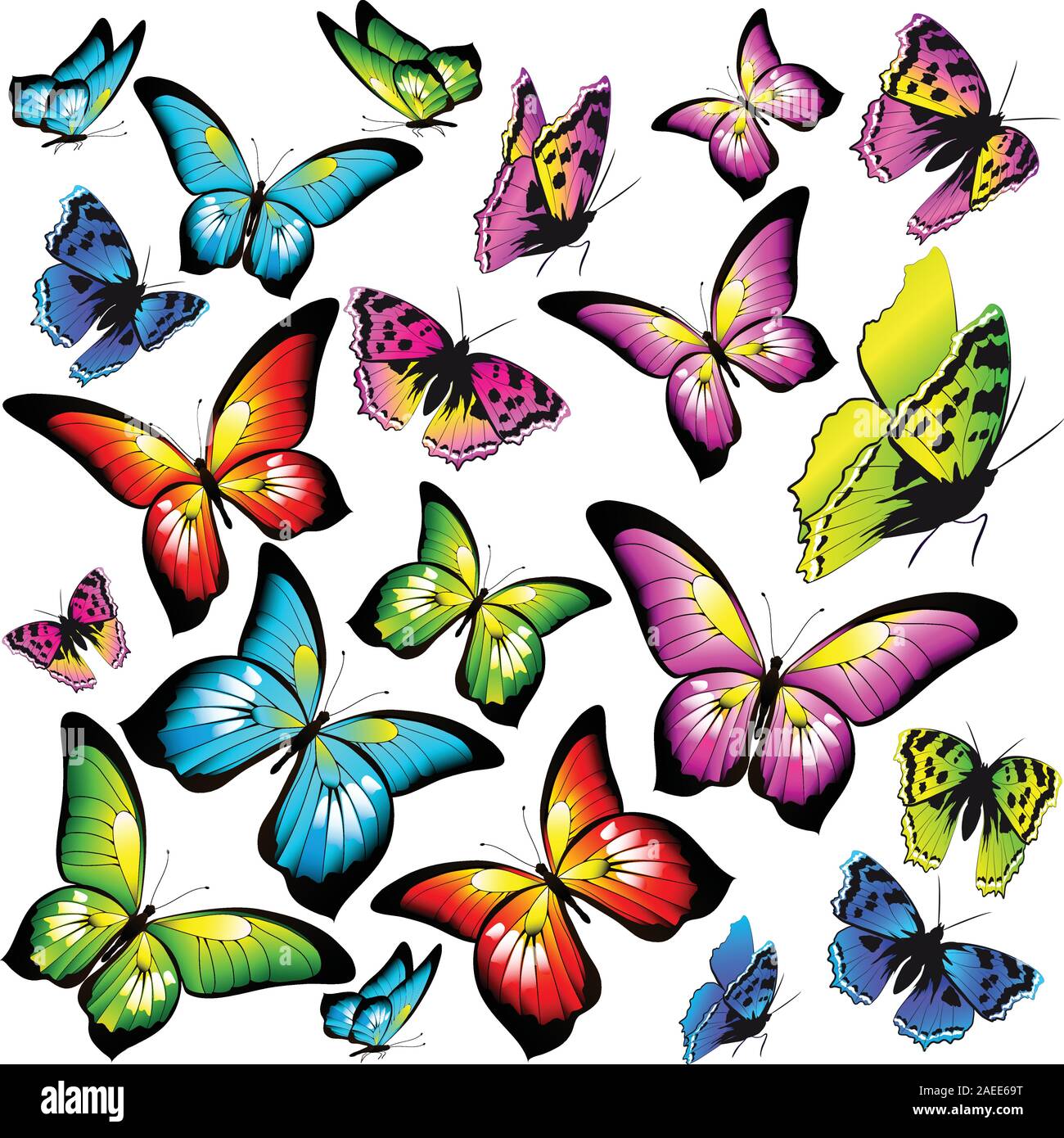 decorative colorful vector art Stock Vector Image & Art - Alamy