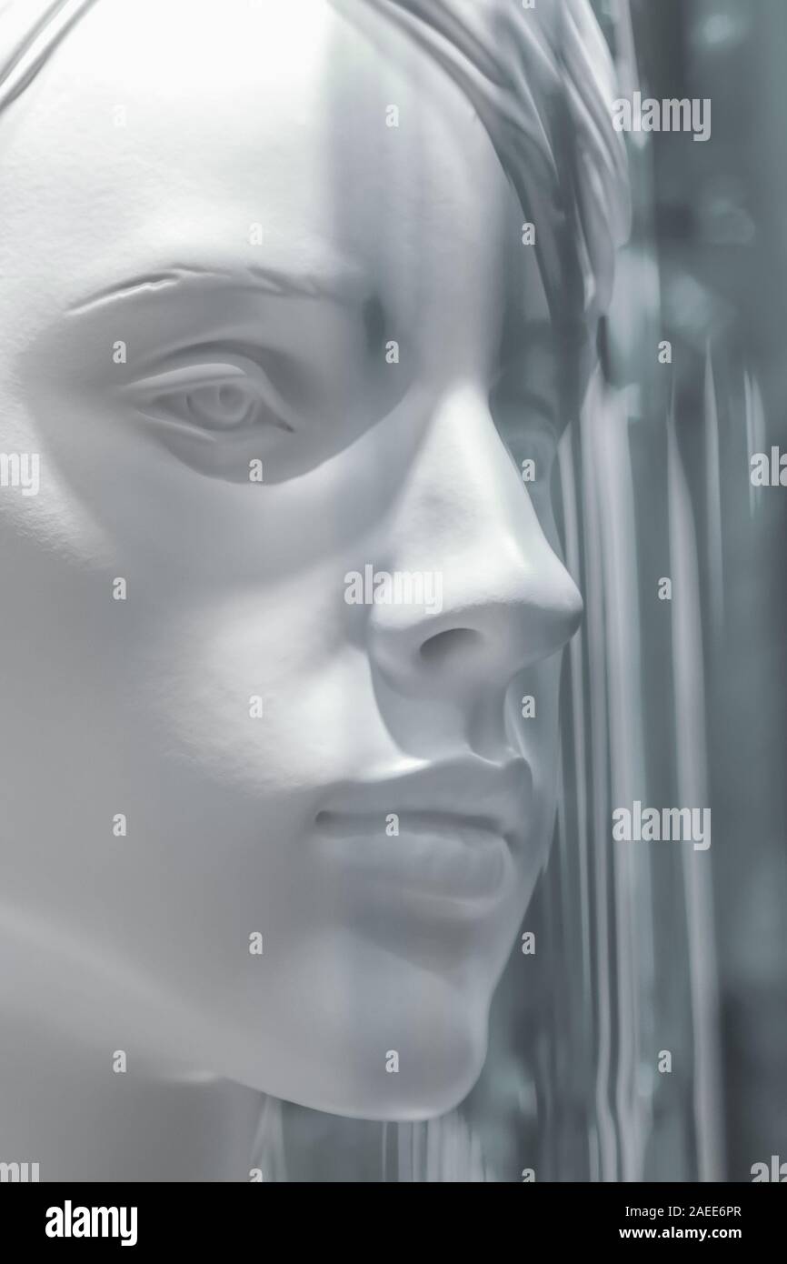 stylish beauty mannequin female head on a blurred bright colored grey ...