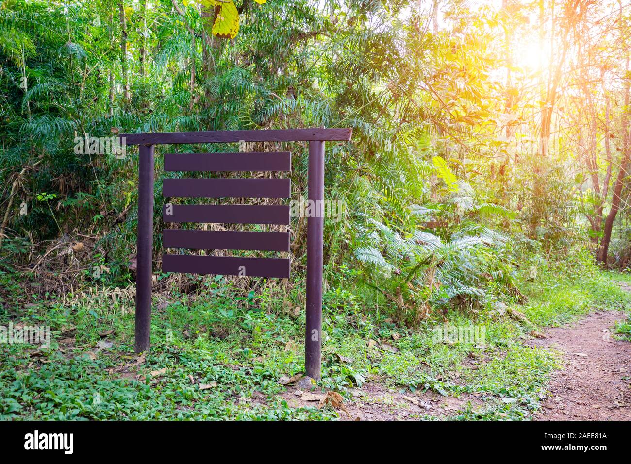 Mystical forest in spring. with wooden guide post. Scenery with path in ...