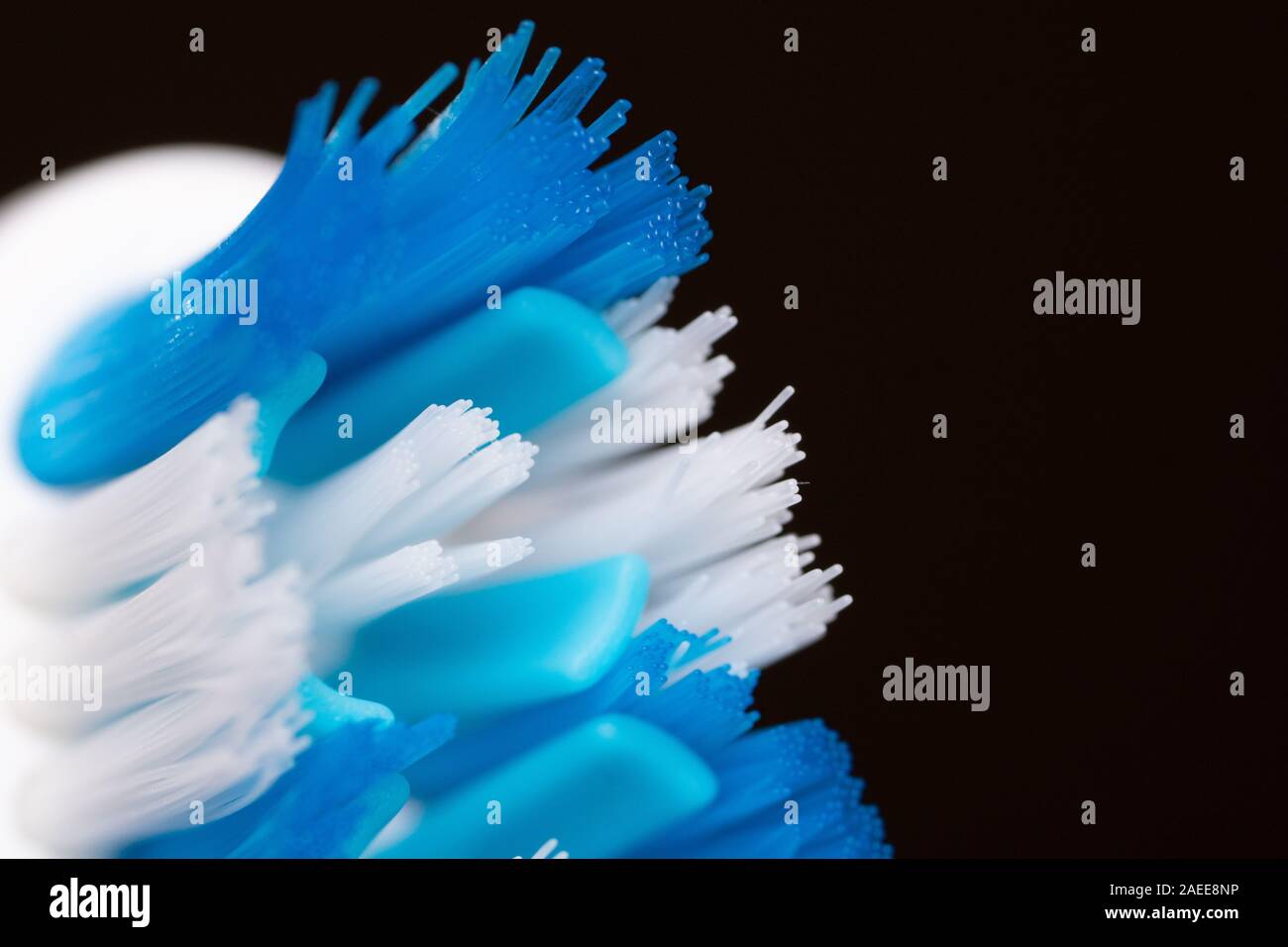 Bristles close up hi-res stock photography and images - Alamy