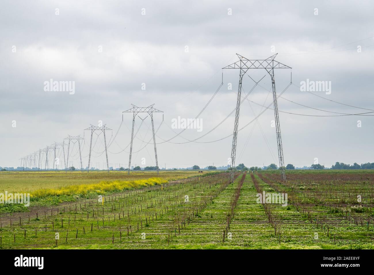 High voltage utility electric transmission power lines Stock Photo - Alamy
