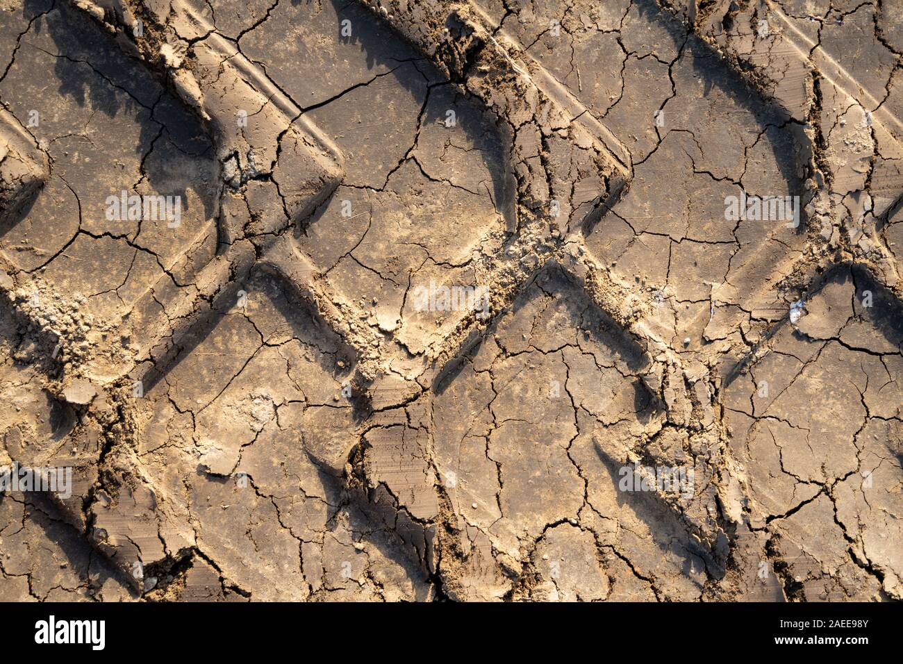 Dry cracked earth tractor tire track imprint dirt Stock Photo - Alamy