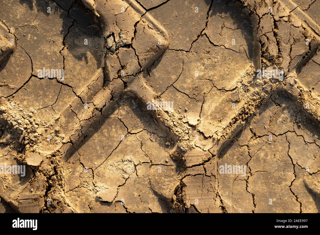 Dry cracked earth tractor tire track imprint dirt Stock Photo - Alamy