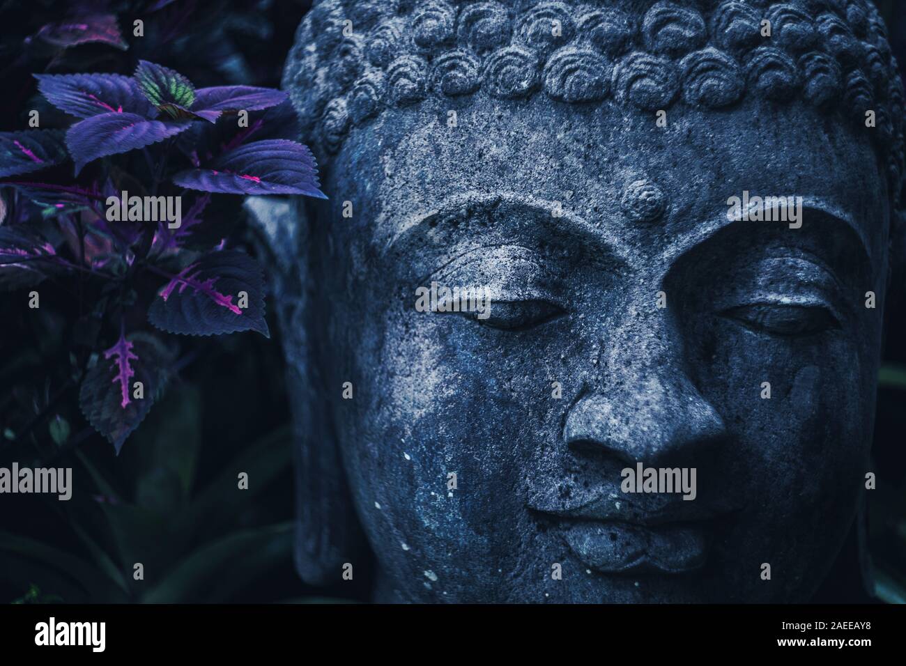 Stone Buddha face close-up in trend blue color toning. Handmade carved ...