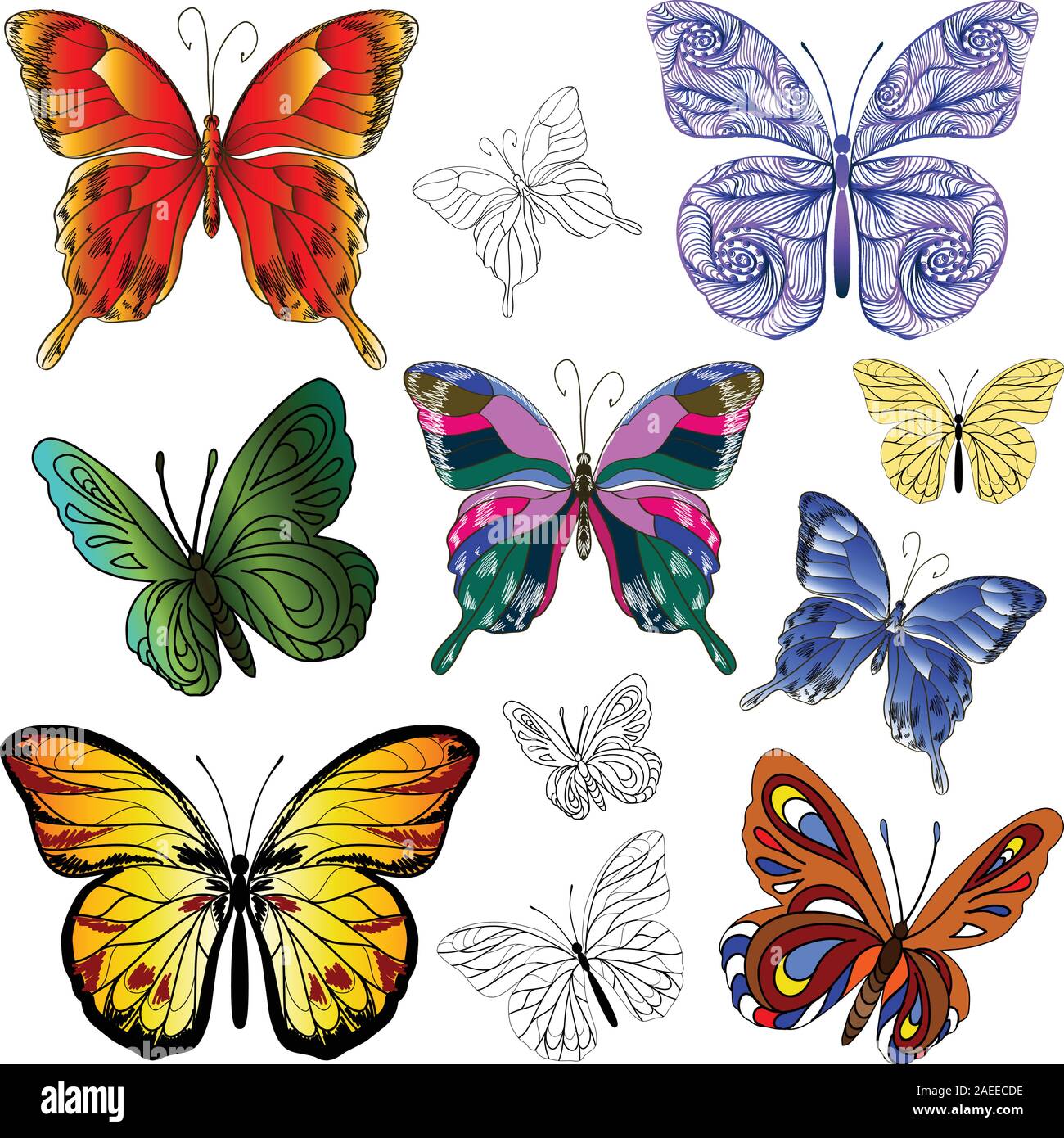 Insect design hi-res stock photography and images - Alamy