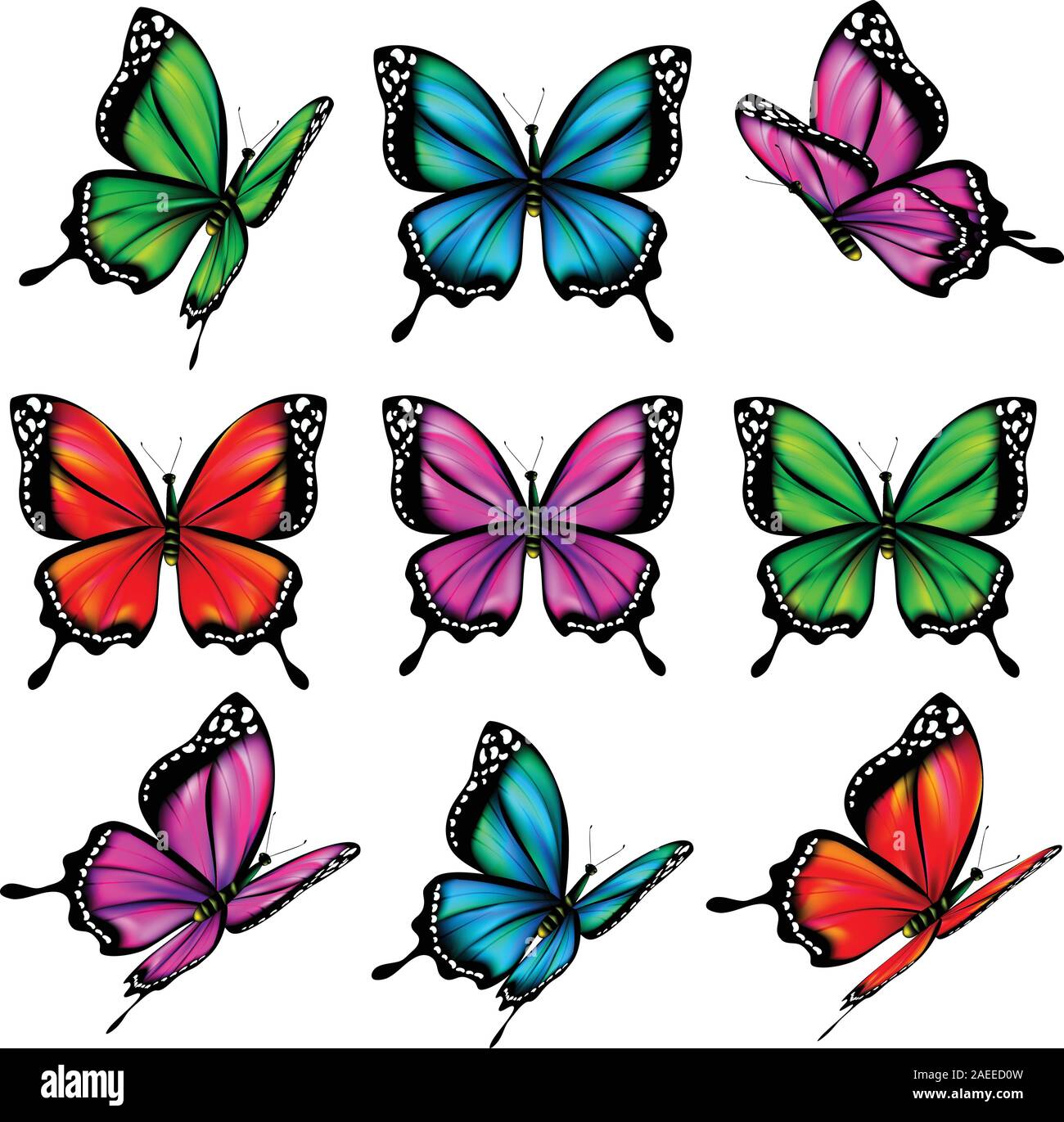 Butterflies decoration art Stock Vector Image & Art - Alamy