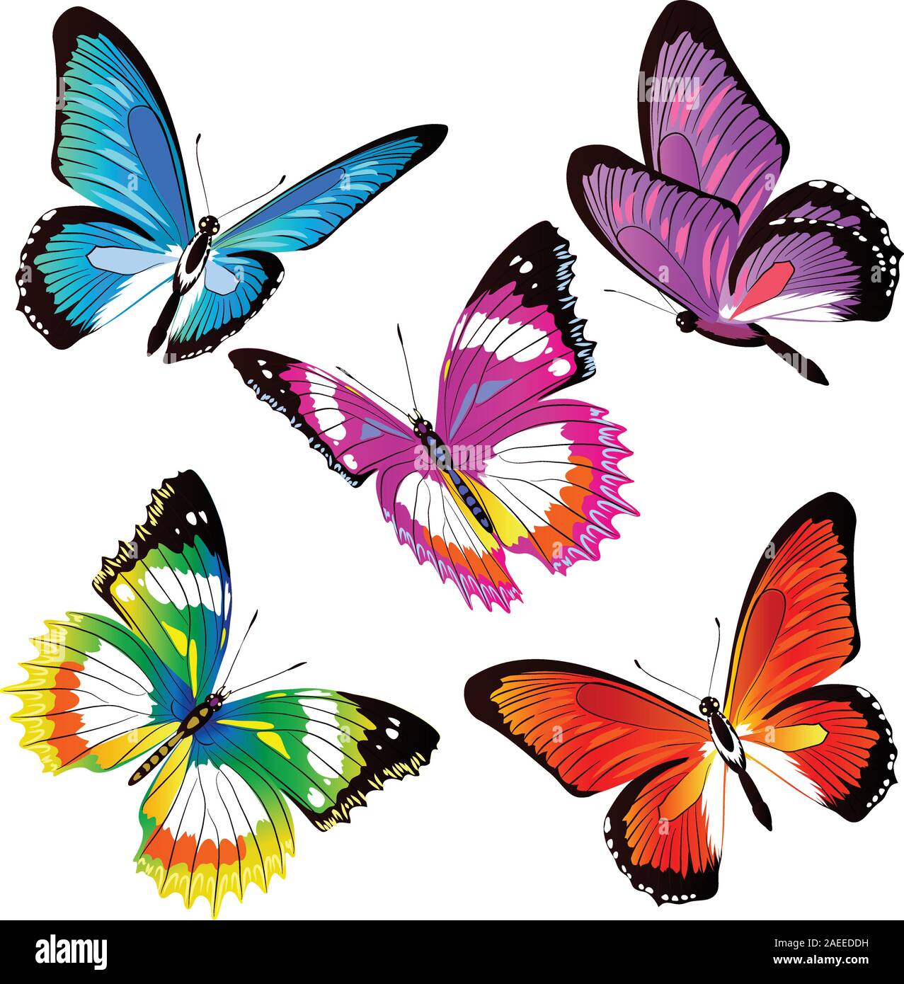 Natural spring decorations Cut Out Stock Images & Pictures - Alamy