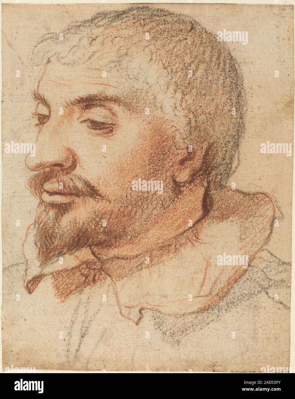 This circa 1600 Italian artwork depicts the head of a man, focusing on ...