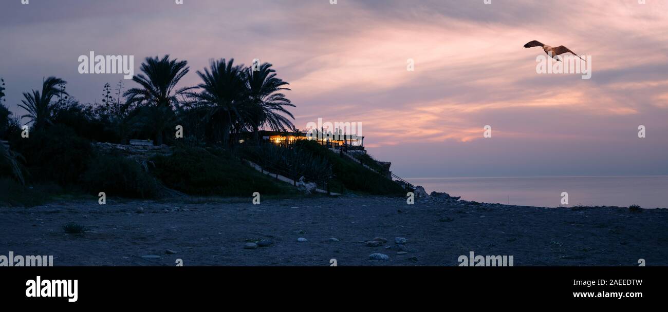 Restaurant Lara on protected tortoise beach Lara Beach at sunset Stock ...