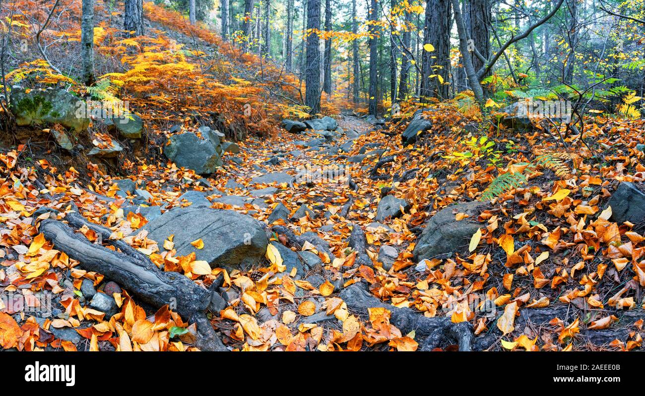 Rock strewn pathway hi-res stock photography and images - Alamy
