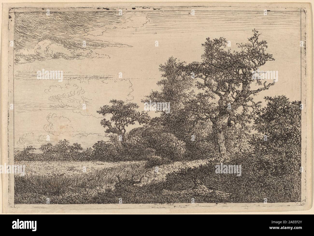 Jacob van Ruisdael, Grain Field at the Edge of a Wood (Corn Field ...