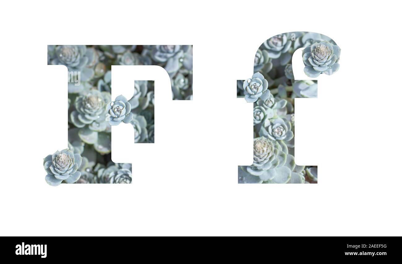 Letter F english alphabet lowercase and uppercase isolated on white ...