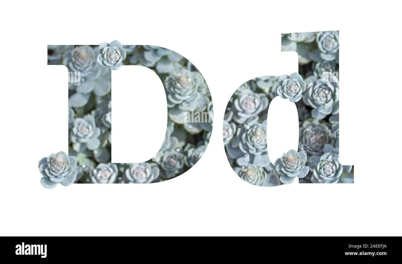 Crassula alphabet hi-res stock photography and images - Alamy