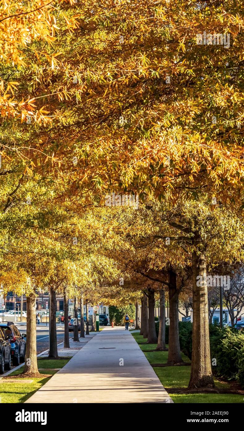 Pennsylvania fall foliage hi-res stock photography and images - Alamy