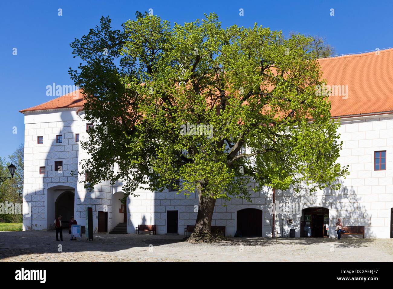 castle with museum, St. Procopius basilica and monastery, town Trebic ...