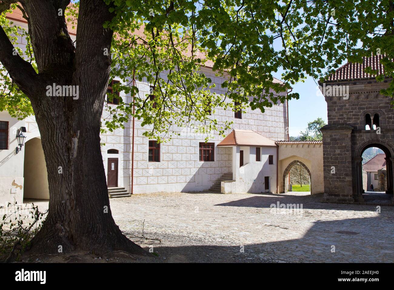 castle with museum, St. Procopius basilica and monastery, town Trebic ...