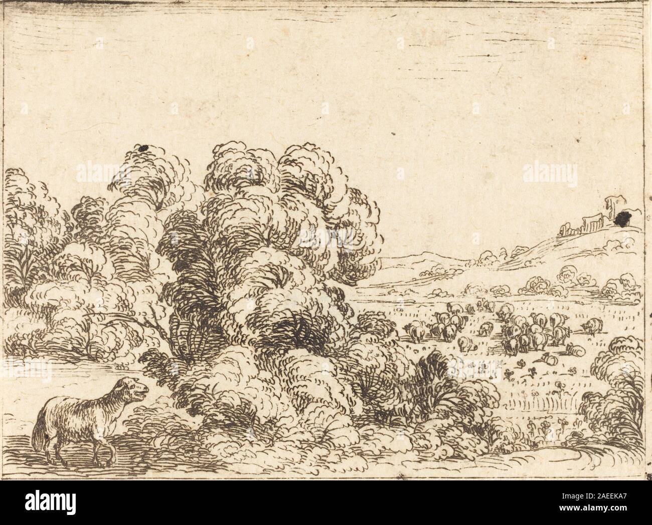 Jacques Callot, Sheep Calling Lamb Sheep Calling Lamb Stock Photo - Alamy