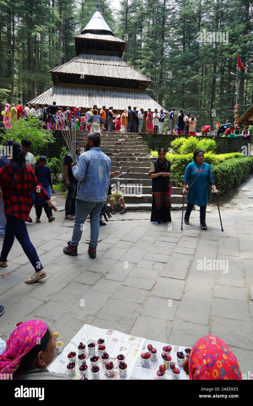 Cherry tree india hi-res stock photography and images - Alamy