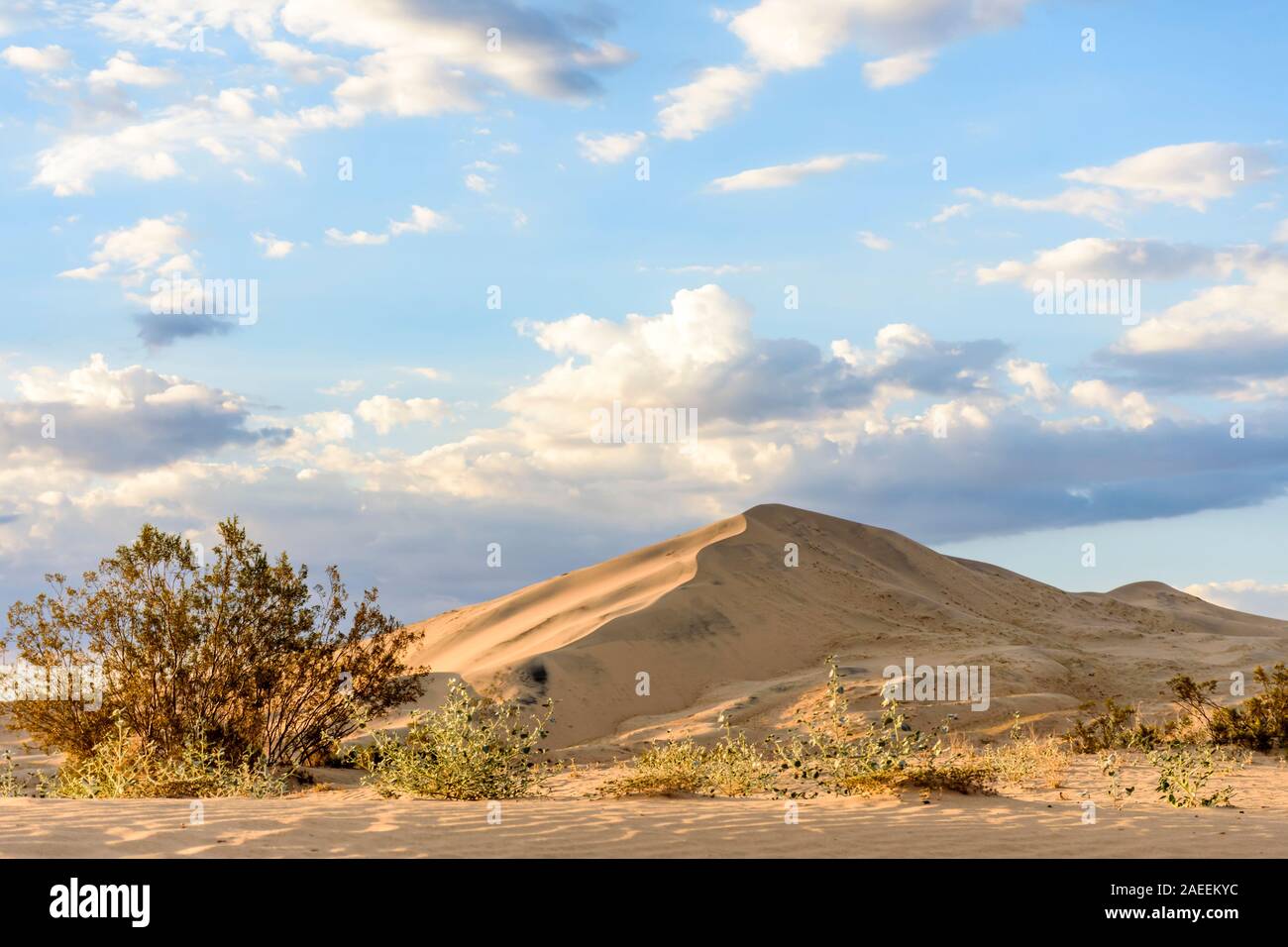 Kelso park hi-res stock photography and images - Alamy