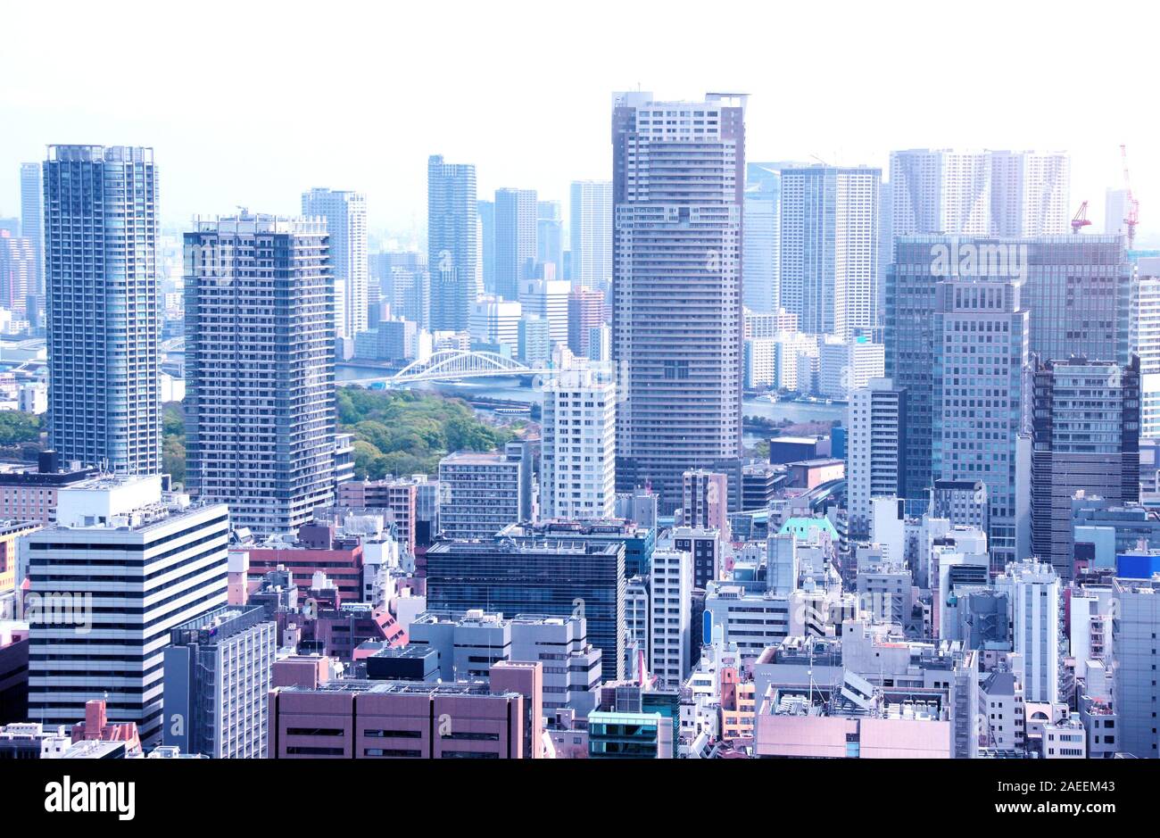 Aerial view of Tokyo - capital city of Japan, Asia. View from Tokyo ...
