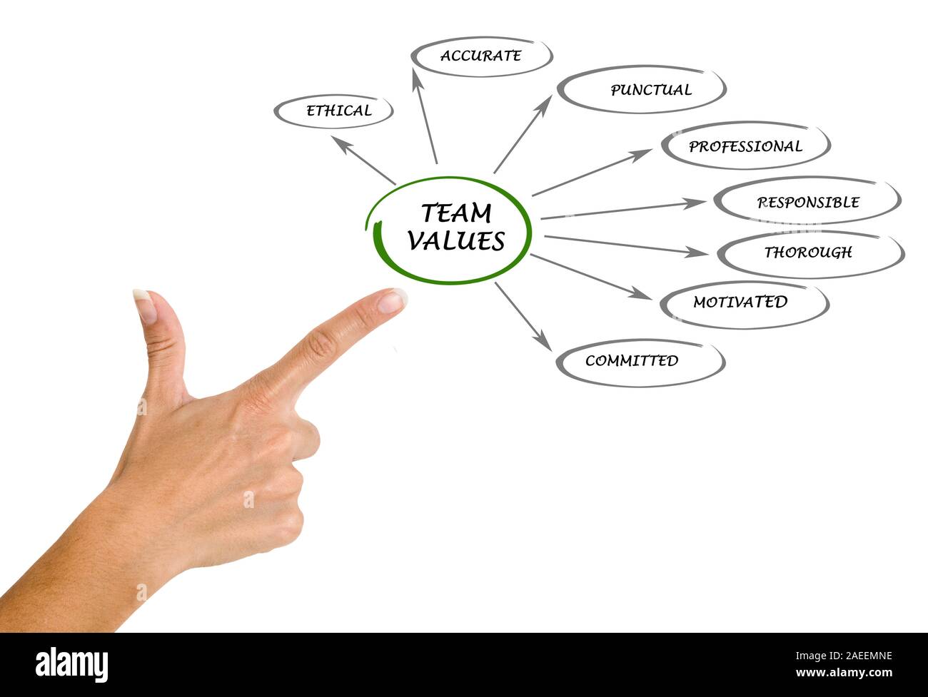 team values and norms Stock Photo - Alamy