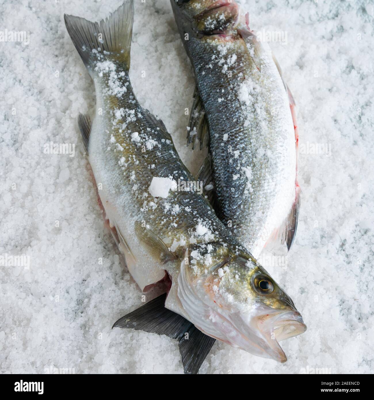 Raw sea bass on salty background. Healthy eating ingredient Stock Photo ...