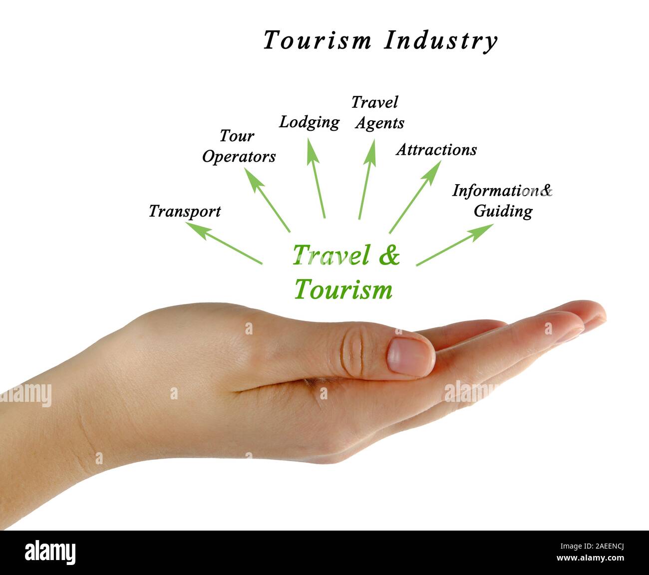 Diagram of Tourism Industry Stock Photo - Alamy
