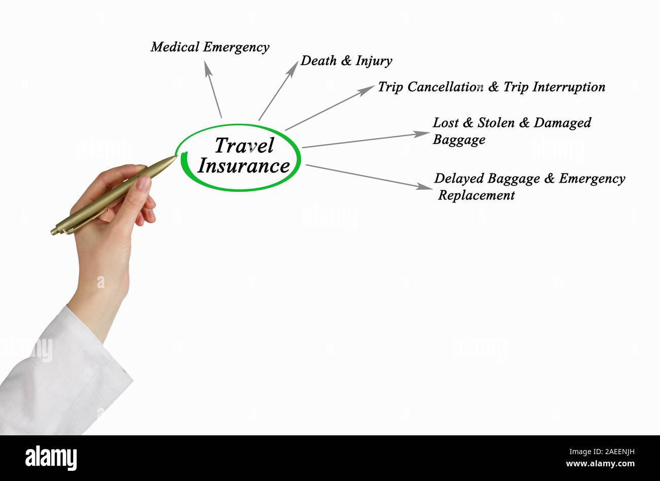 Diagram of Travel Insurance Stock Photo - Alamy