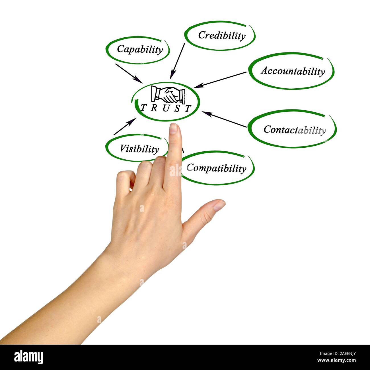 Diagram of trust Stock Photo - Alamy