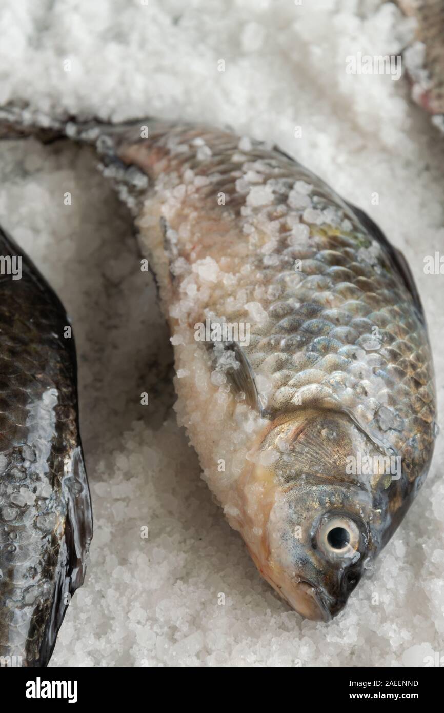 Raw fishes on salty background. Healthy eating ingredient Stock Photo ...