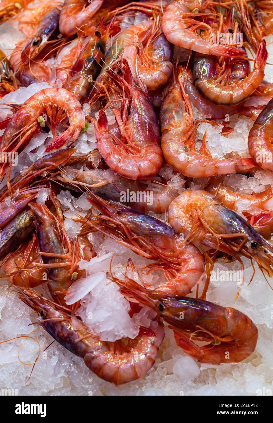 Fresh prawns at a fish market Stock Photo - Alamy