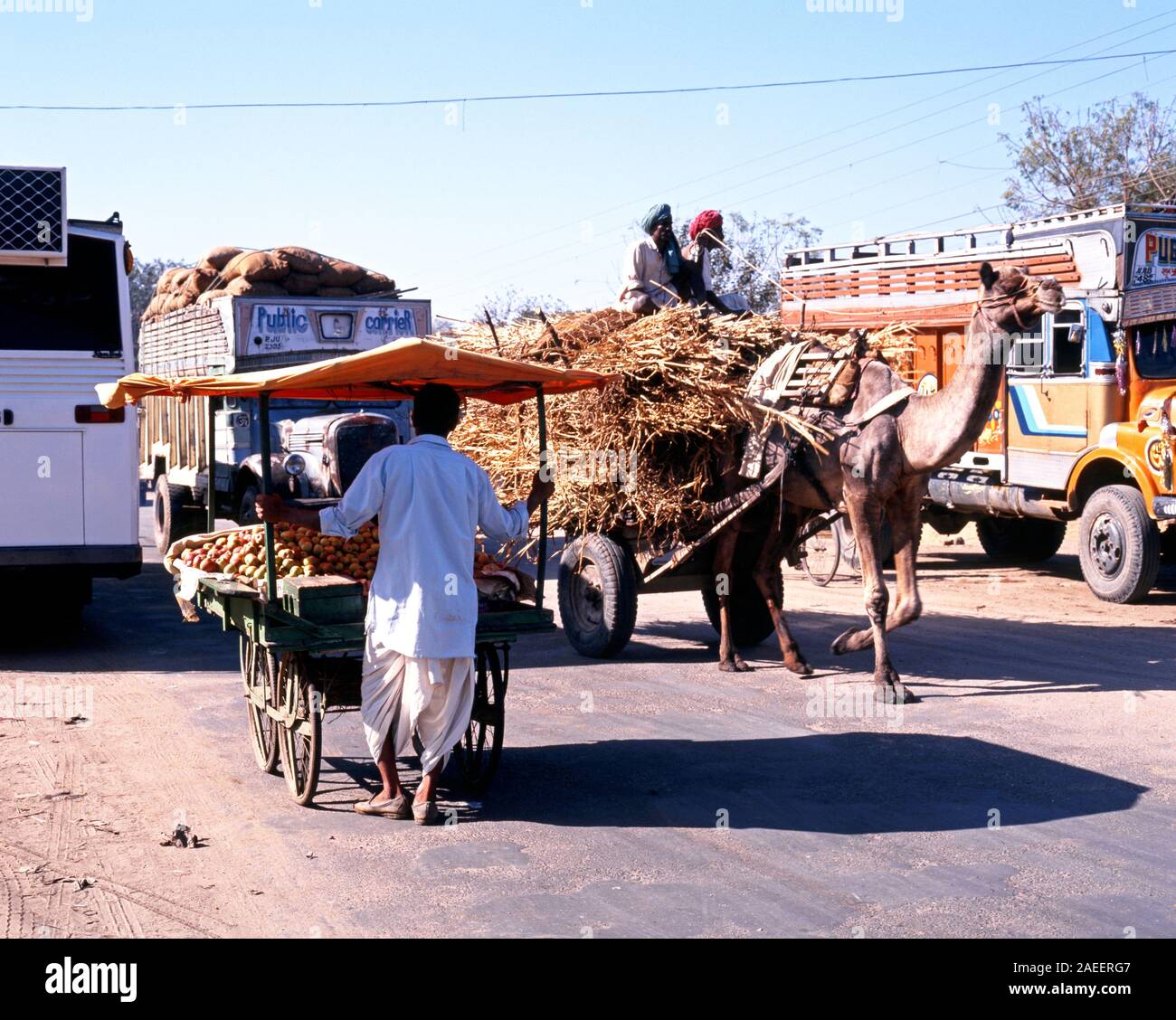 Camel cart travelling along a village street, Jaipura, Rajasthan, India ...