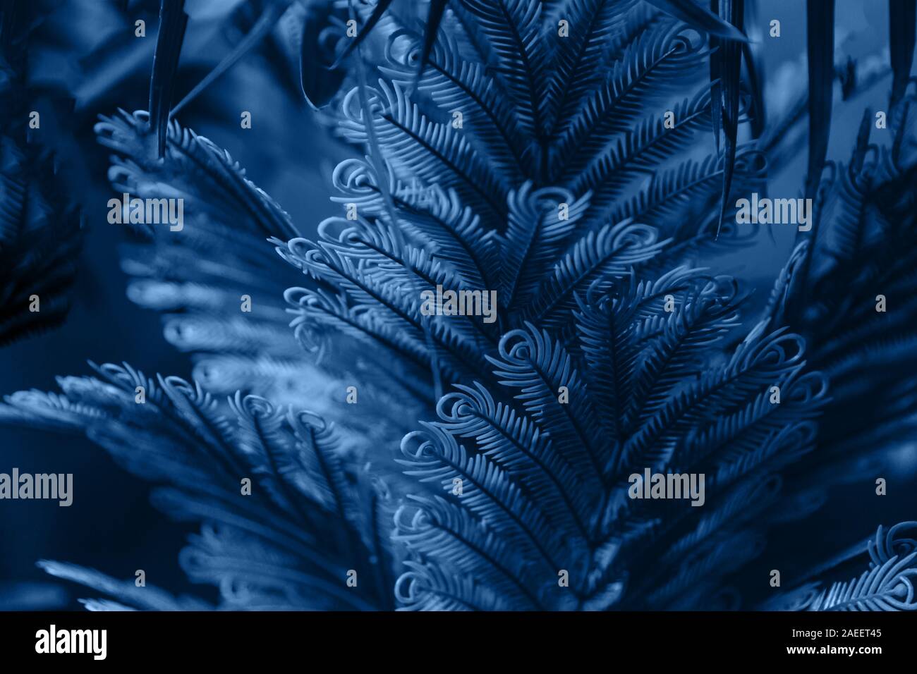 Fern leaf in a classi blue color. The main color of the Year 2020 Stock ...