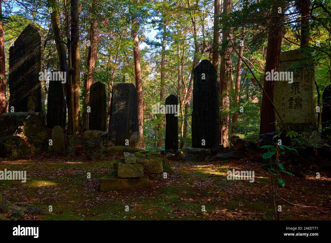 Old stone grave tablets with autumn fall color in Naritasan Park in ...