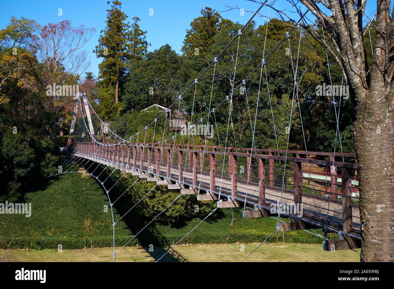 A modern wood and steel cable pedestrian bridge in the Sakatagaike ...