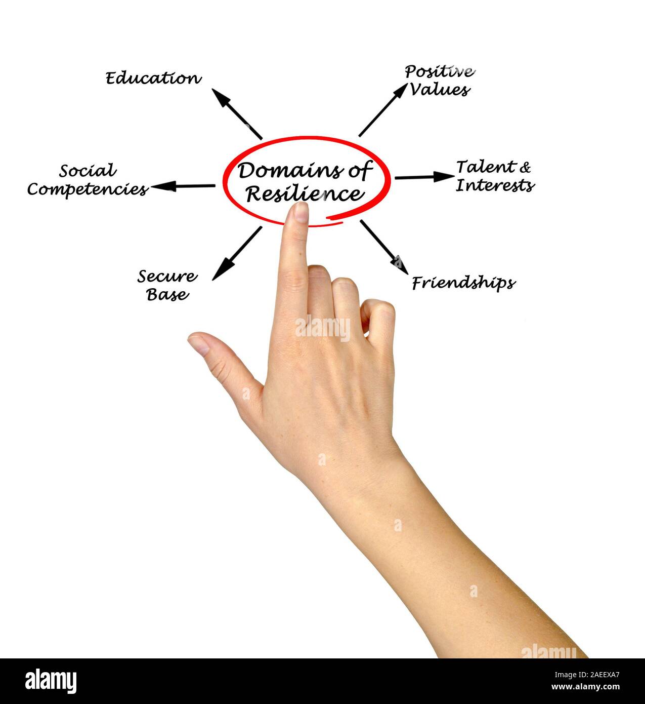 Domains of resilience Stock Photo - Alamy