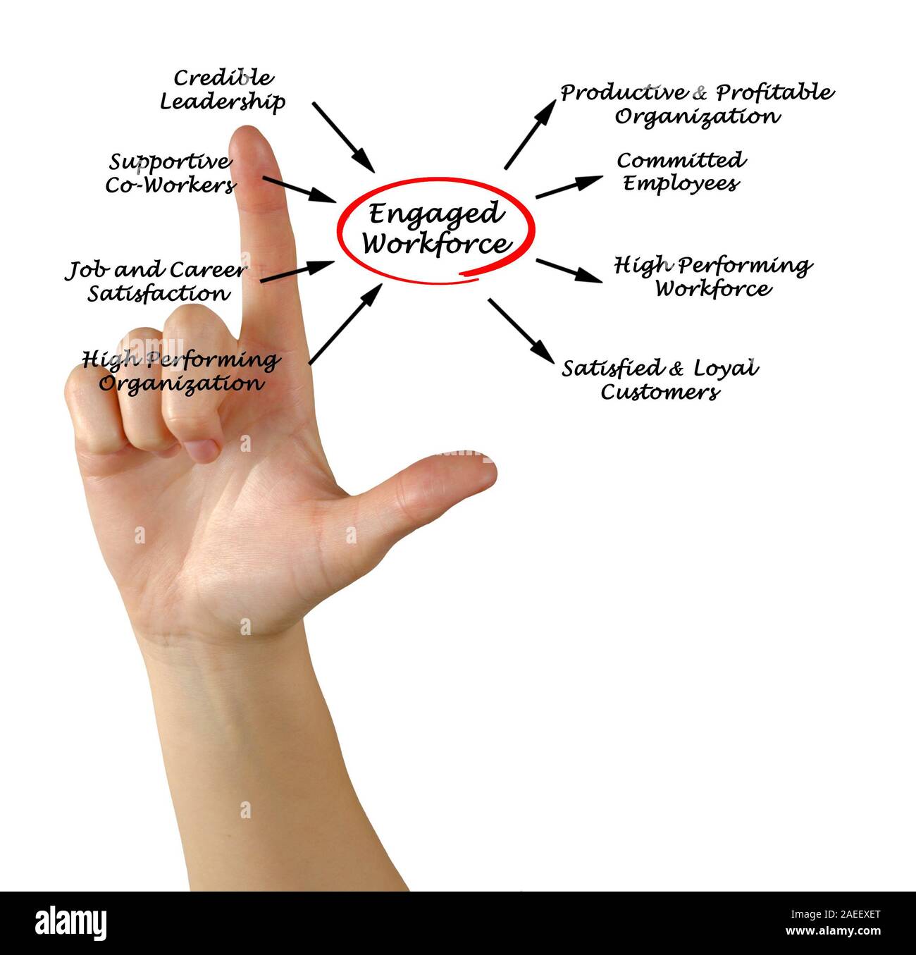 Female emloyee Cut Out Stock Images & Pictures - Alamy