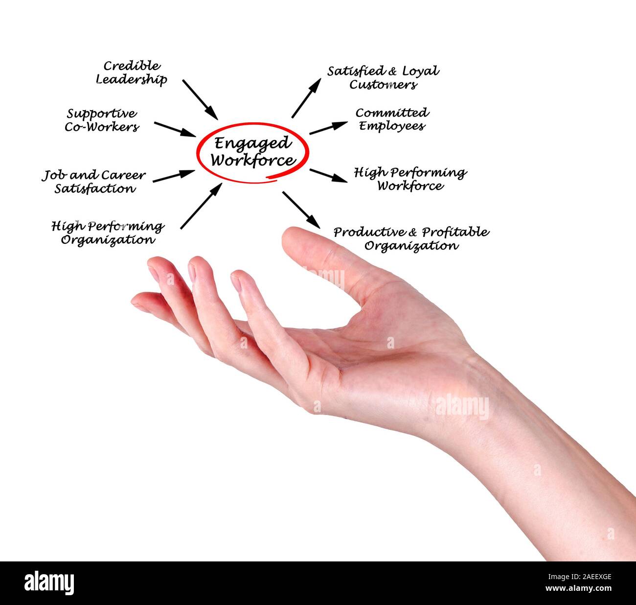 Female emloyee hi-res stock photography and images - Alamy